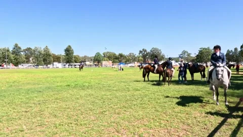 Eventing Horse Riding Stock Videos – Royalty-Free HD & 4K Videos | Pond5