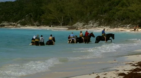 Horse Riding on tropical beach | Stock Video | Pond5