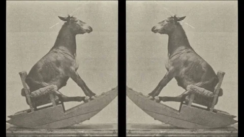 Animation Horse Full Stock Videos – Royalty-Free HD & 4K Videos