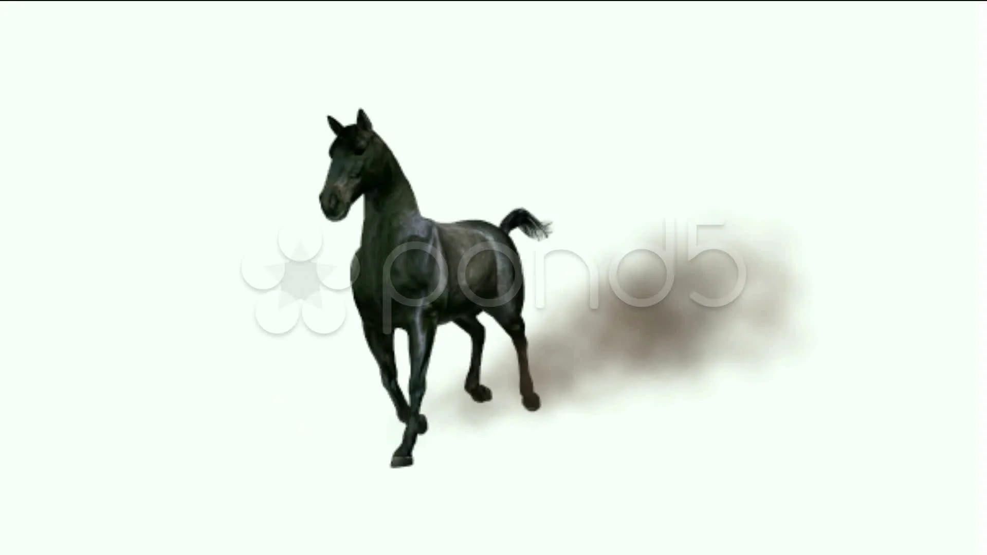 Black Horse Running Gif