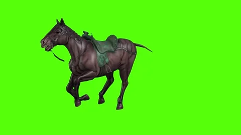 Horse Running Green Screen Animation 4K ... | Stock Video | Pond5