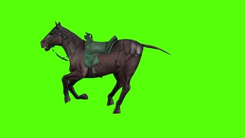 Horse Running Animation Stock Footage ~ Royalty Free Stock Videos | Pond5