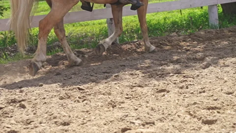 Horse Running Slowly In The Sandy Arena ... | Stock Video | Pond5
