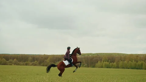 Polo Sport Woman Stock Videos – Royalty-Free HD & 4K Videos