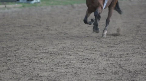 Horse Run Stock Footage ~ Royalty Free Stock Videos | Pond5