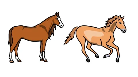 Race Horse Animation Stock Video Footage | Royalty Free Race Horse ...