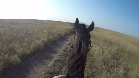 Horseback rider point of view riding bla... | Stock Video | Pond5