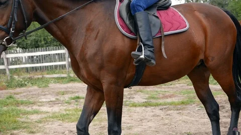 Girls Rider Stock Videos – Royalty-Free HD & 4K Videos | Pond5