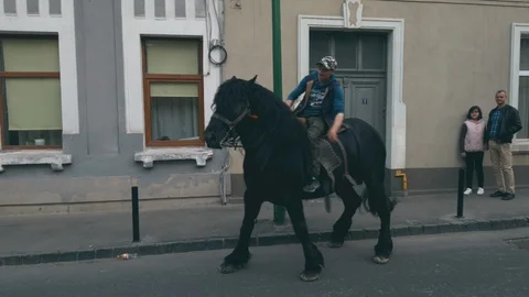 Horseman riding balky black draft stalli... | Stock Video | Pond5