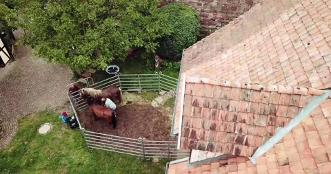 Horses by drone in a village in Thuringi... | Stock Video | Pond5