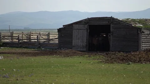 Waiting For Others Stock Videos – Royalty-Free HD & 4K Videos | Pond5