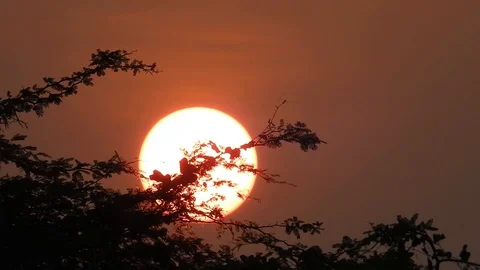 Burning Hot Sun Stock Videos – Royalty-Free HD & 4K Videos