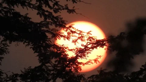 Burning Hot Sun Stock Videos – Royalty-Free HD & 4K Videos