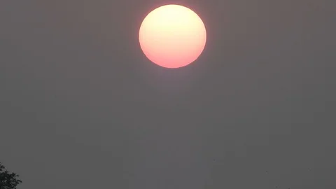 Burning Hot Sun Stock Videos – Royalty-Free HD & 4K Videos