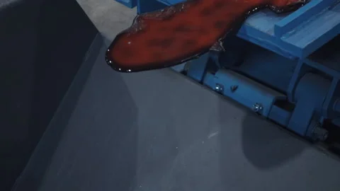 Cast Of Falli Stock Videos – Royalty-Free HD & 4K Videos