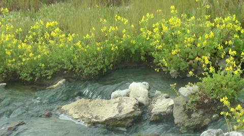 Hot Six Video Stock Videos – Royalty-Free HD & 4K Videos | Pond5