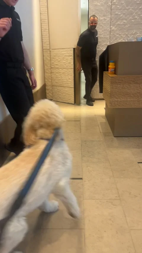 2025 Overnight Stock Videos – Royalty-Free HD & 4K Videos