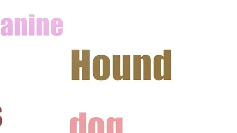 Hound Word Cloud Animated Isolated On Wh... | Stock Video | Pond5