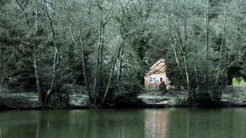 House hidden in the trees next to forest... | Stock Video | Pond5