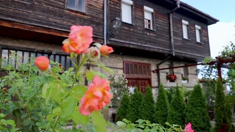 Video Od Stock Videos – Royalty-Free HD & 4K Videos