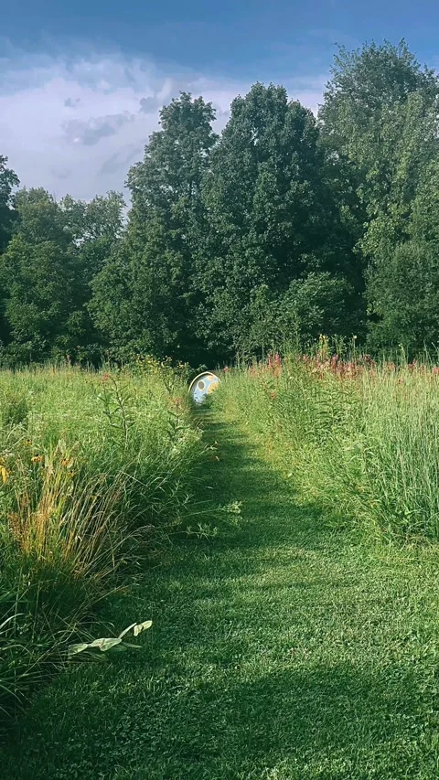 house on a path, field, nature, grass, l... | Stock Video | Pond5