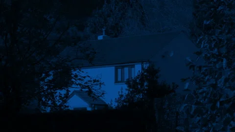 Wind Trees Night Stock Footage ~ Royalty Free Stock Videos | Pond5