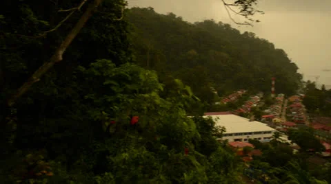 Green Houses Videos Stock Videos – Royalty-Free HD & 4K Videos