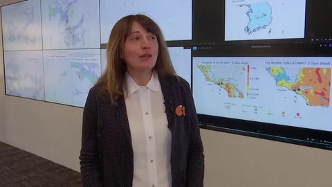 How AI is learning to predict wildfires | Stock Video | Pond5