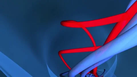 How heart pumps the bloods. 3d animation... | Stock Video | Pond5