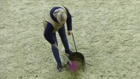 Girls Have Poop Stock Videos – Royalty-Free HD & 4K Videos