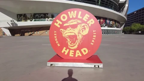 Howler Head Monkey Spirit Sign Near T Mo... | Stock Video | Pond5