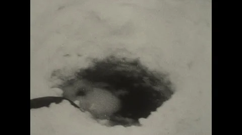 HQ - WW2 - Russian Soldier Shower At Fro... | Stock Video | Pond5