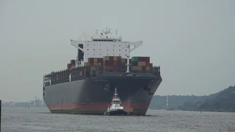 Msc Container Stock Videos – Royalty-Free HD & 4K Videos