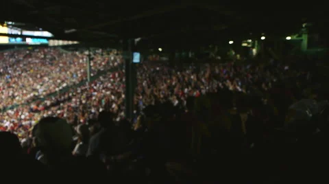 Crowd Doing The Wave Stock Videos – Royalty-Free HD & 4K Videos