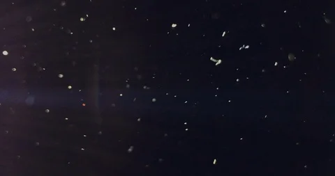 Dust Flying Around Stock Footage ~ Royalty Free Stock Videos | Pond5