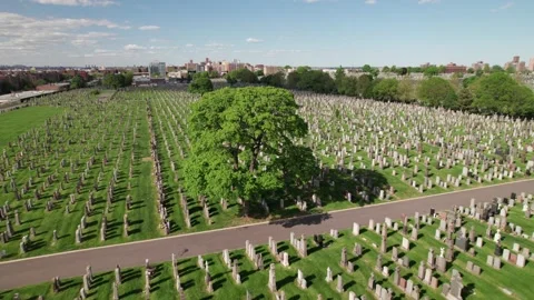 Huge green cemetery in Queens, NYC. Aeri... | Stock Video | Pond5