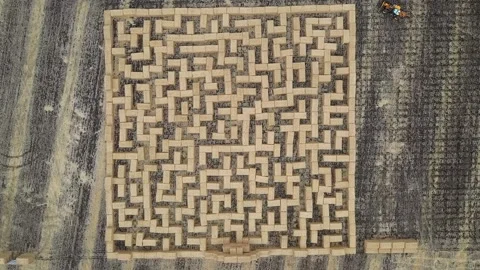 Wheat Maze Stock Video Footage | Royalty Free Wheat Maze Videos | Pond5