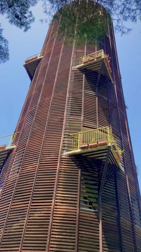 Huge high wooden observation tower in th... | Stock Video | Pond5