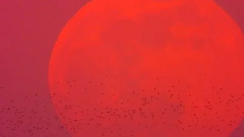 Sound Number Stock Videos – Royalty-Free HD & 4K Videos