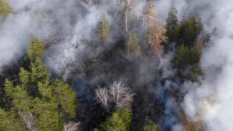 Huge puffs of forest fire smoke. Global ... | Stock Video | Pond5