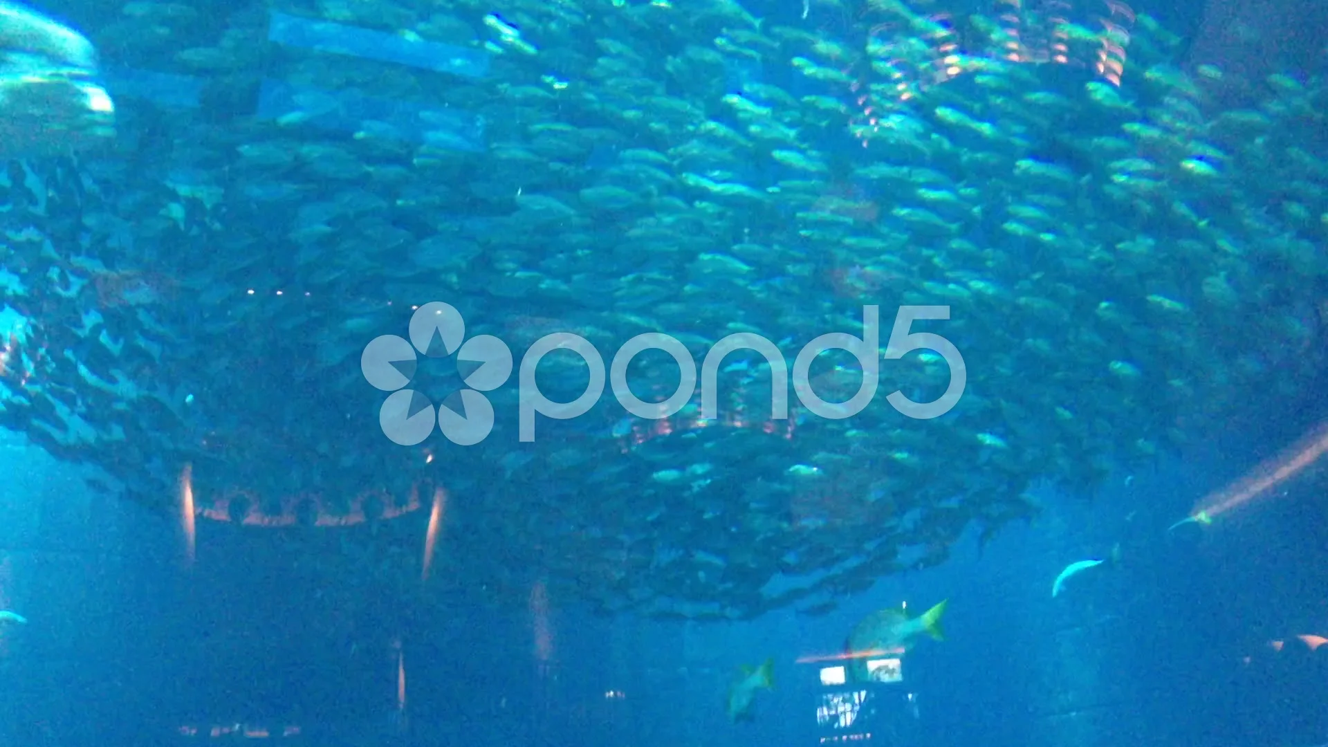 Giant Whirlpool Underwater