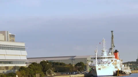 The huge white ship docking on the side ... | Stock Video | Pond5