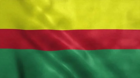 Humacao flag, city of Puerto Rico, reali... | Stock Video | Pond5