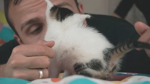 Homeless Fondle Stock Videos – Royalty-Free HD & 4K Videos