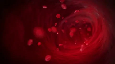 Blood Flow Animation Stock Video Footage | Royalty Free Blood Flow ...