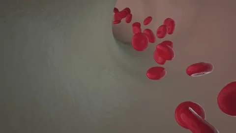 The human blood system. Depiction of a b... | Stock Video | Pond5