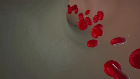 The human blood system. Depiction of a b... | Stock Video | Pond5