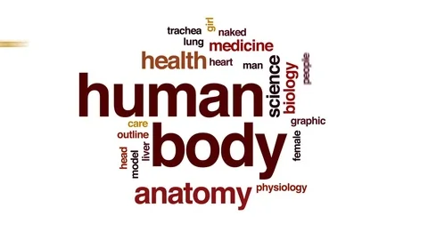 Human body animated word cloud, text des... | Stock Video | Pond5