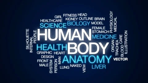 Human body animated word cloud, text des... | Stock Video | Pond5