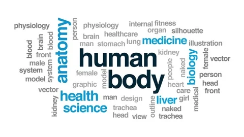 Human body animated word cloud, text des... | Stock Video | Pond5